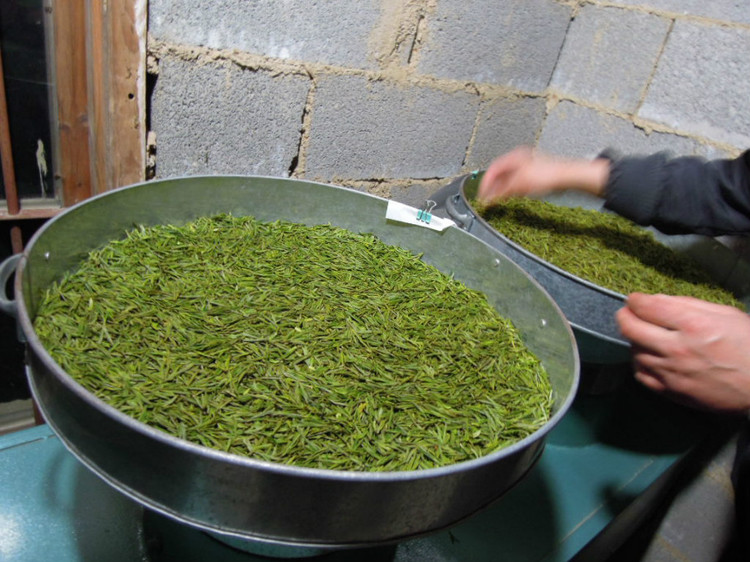 Anji Bai Cha | Changsha Wufeng Tea Co.,Ltd