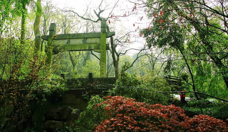 Xi Hu Long Jing | Changsha Wufeng Tea Co.,Ltd