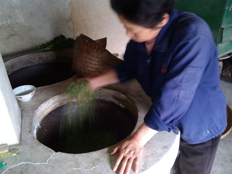 Huang Shan Mao Feng | Changsha Wufeng Tea Co.,Ltd