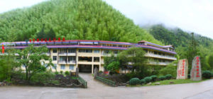 The Story of Jin Jun Mei | Changsha Wufeng Tea Co.,Ltd