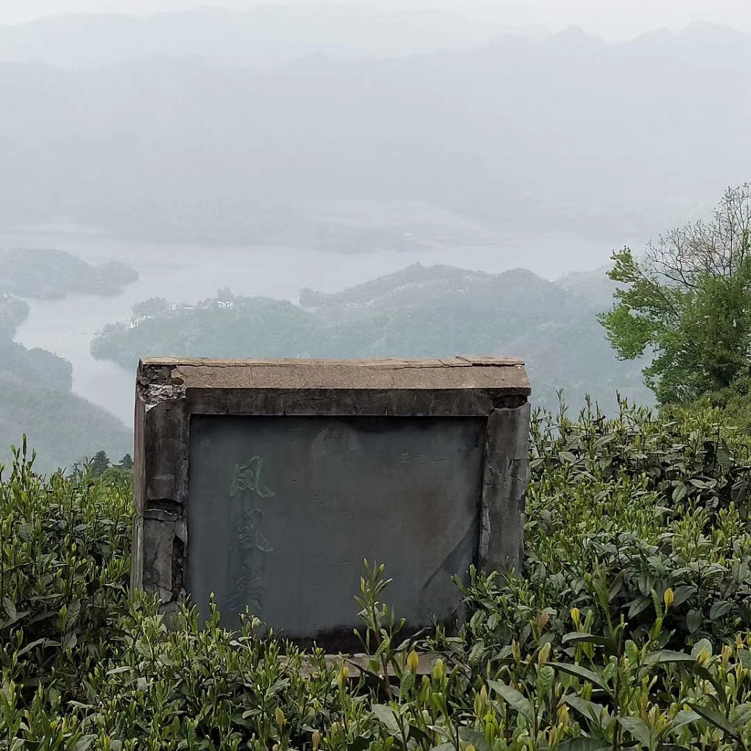 The Traditional Processing of Tai Ping Kou Kui | Changsha Wufeng Tea Co ...