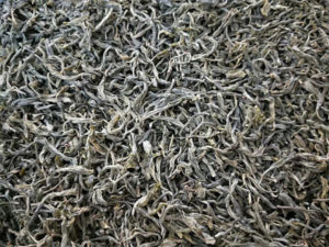 Yunnan Green Tea | Changsha Wufeng Tea Co.,Ltd