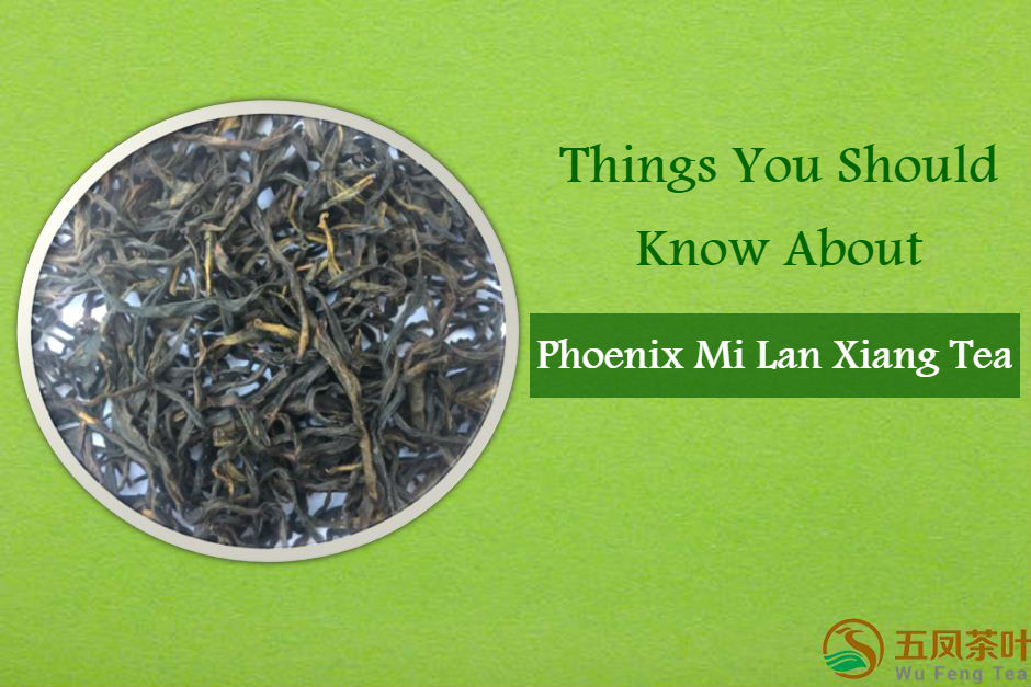 Things You Should Know About Phoenix Mi Lan Xiang Tea | Changsha Wufeng ...