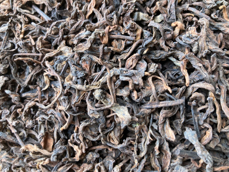Ancient Tree Shu Pu-erh, Regular Grade (Big Leaf) | Changsha Wufeng Tea ...